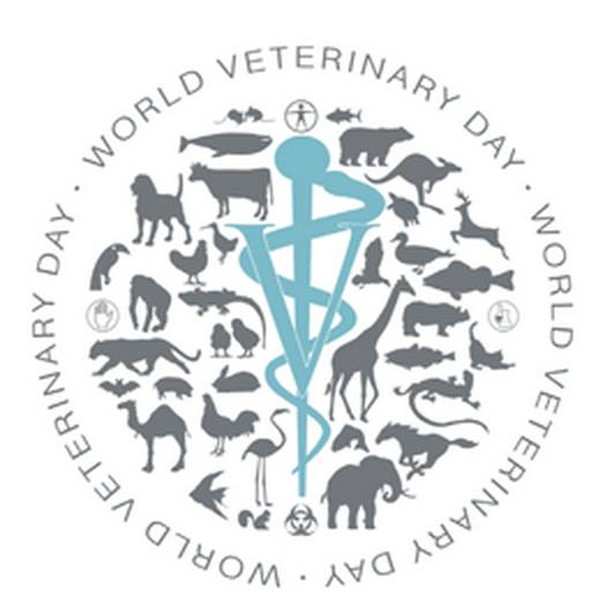 Timbercrest Veterinary Services - Full Service Animal Practice